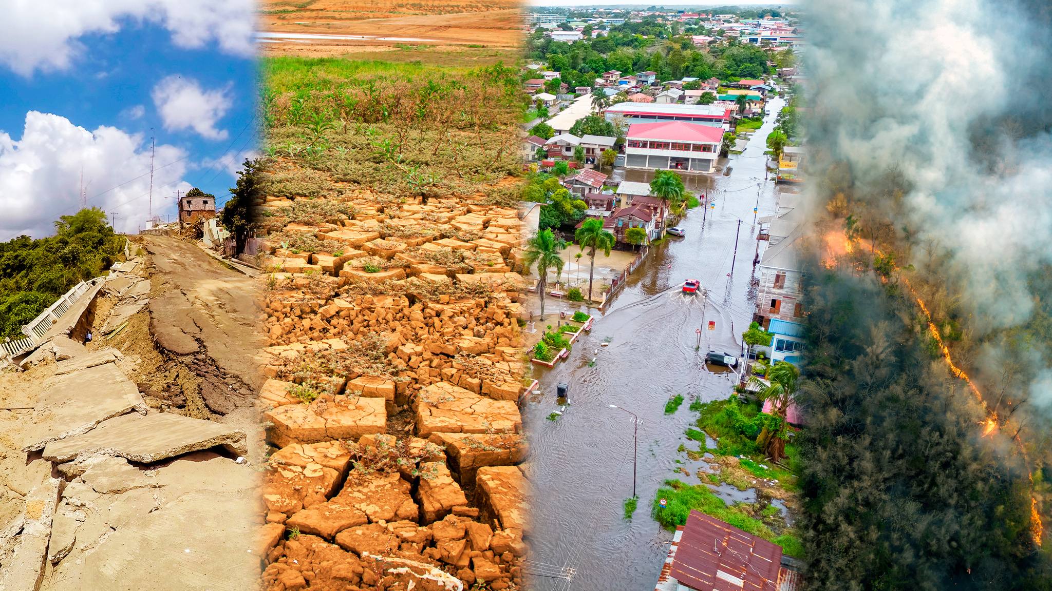 CopernicusLAC Platform